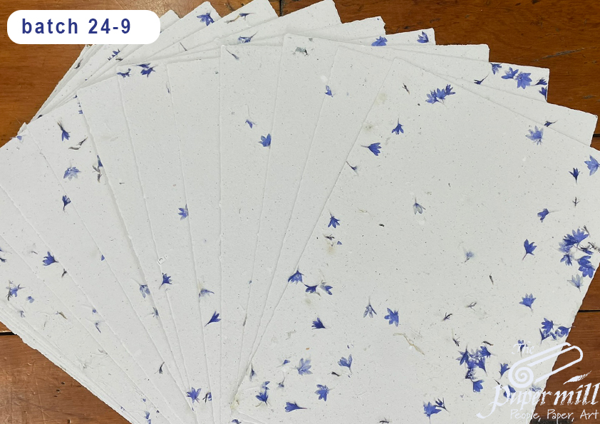 Cornflower Paper – The Papermill