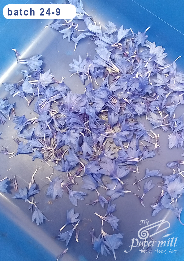 Cornflower Paper – The Papermill