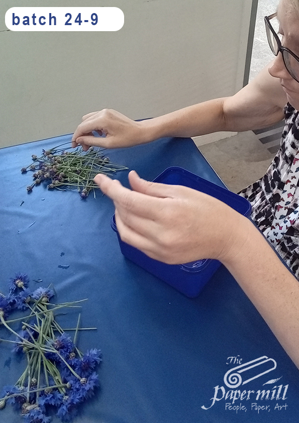 Cornflower Paper – The Papermill