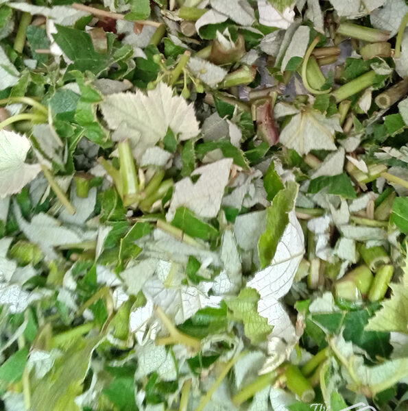 100% Flax (Harakeke) Paper – The Papermill