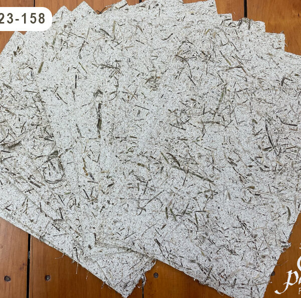 Recycled paper w. banana palm – The Papermill