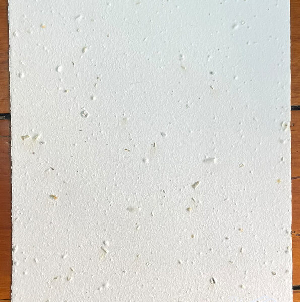 Wildflower seeded paper – The Papermill